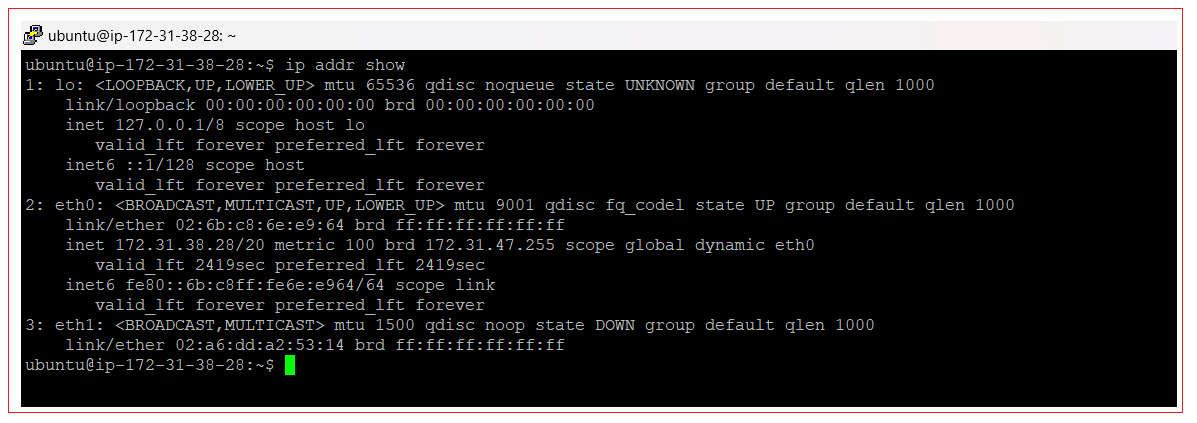 How To Allocate Multiple Ip Address To Aws Ec2 Virtual Machine Java4coding